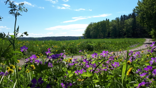 FUCIO-verkosto - FUCIO_home_fi